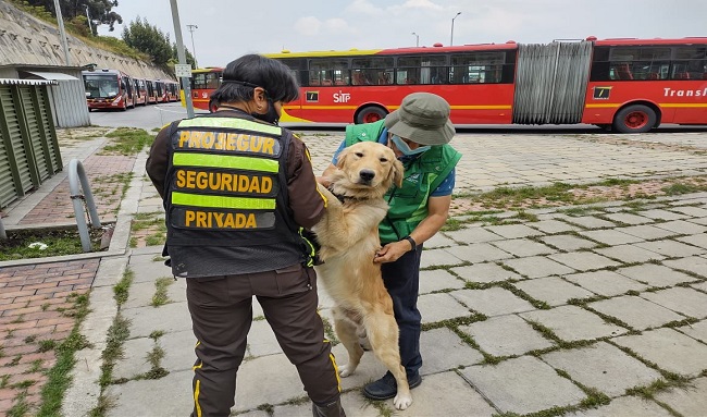 Distrito revisó estado de salud de perros de vigilancia en TransMilenio